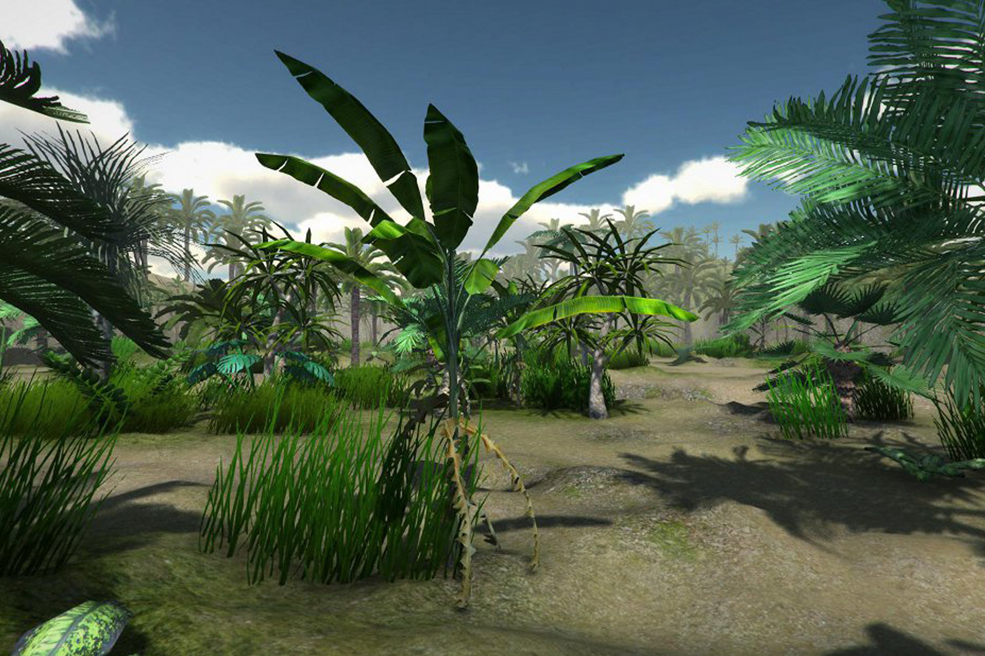 Tropical-Vegetation | 3D 식물 | Unity Asset Store