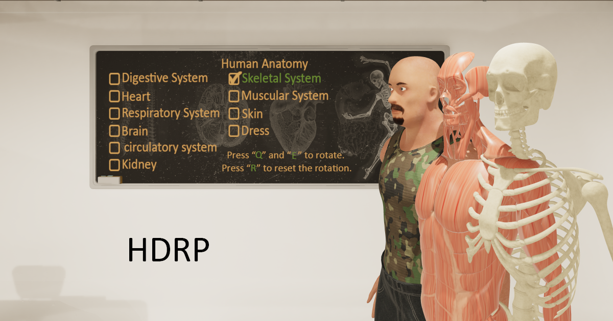Human_Anatomy_HDRP | 3D Characters | Unity Asset Store