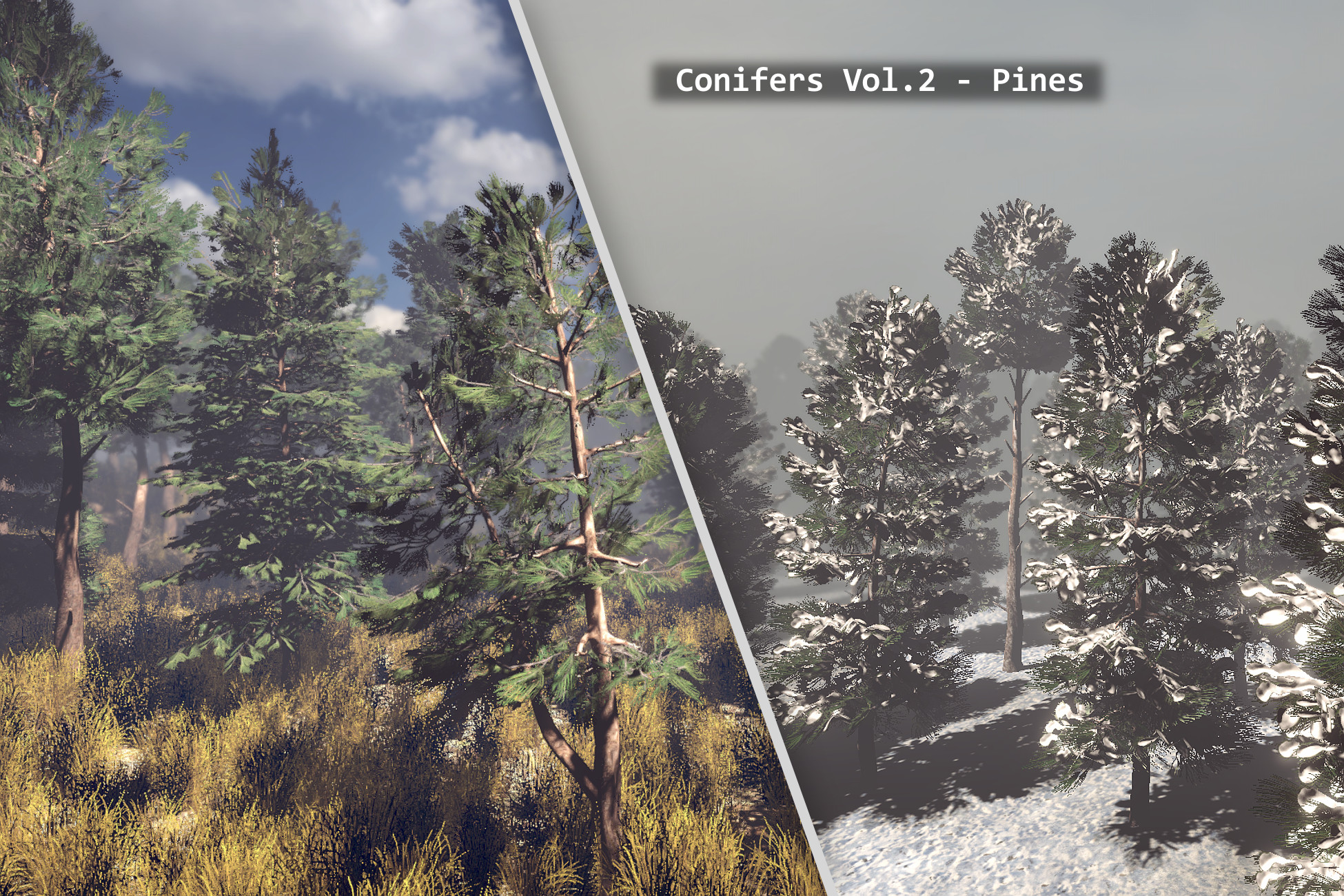 Conifers Vol.2 - Pines | 3D Trees | Unity Asset Store
