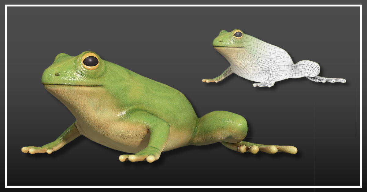 Tree Frog | 3D Animals | Unity Asset Store