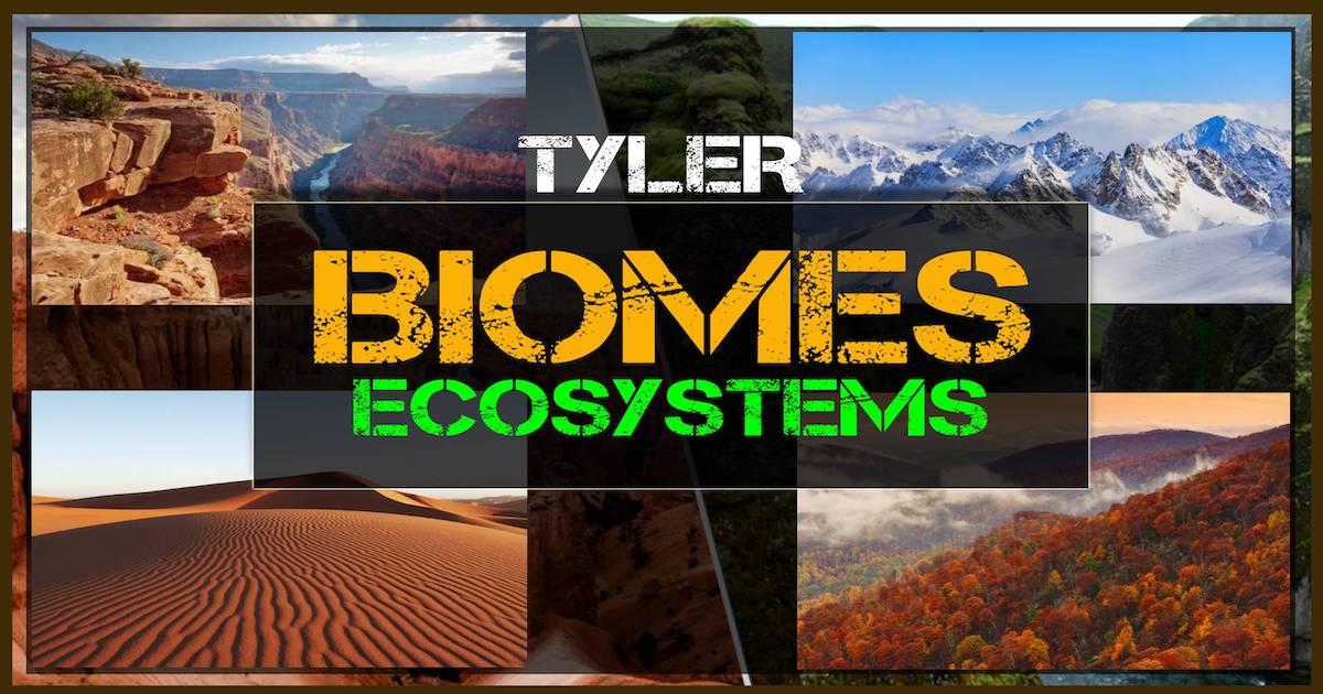 BIOM | 3D Environments | Unity Asset Store