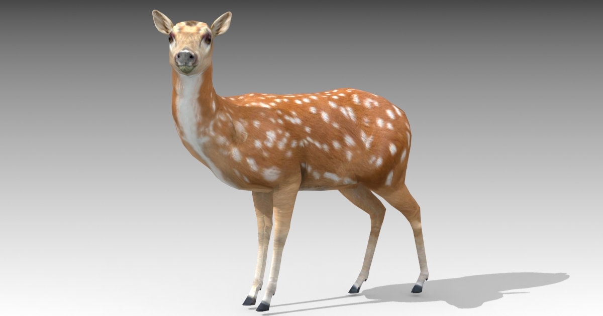 Female Deer | Characters | Unity Asset Store