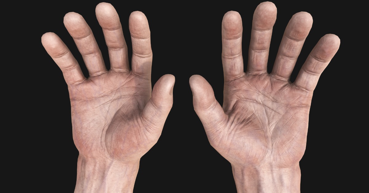 HQ Male Arms | 3D Humanoids | Unity Asset Store