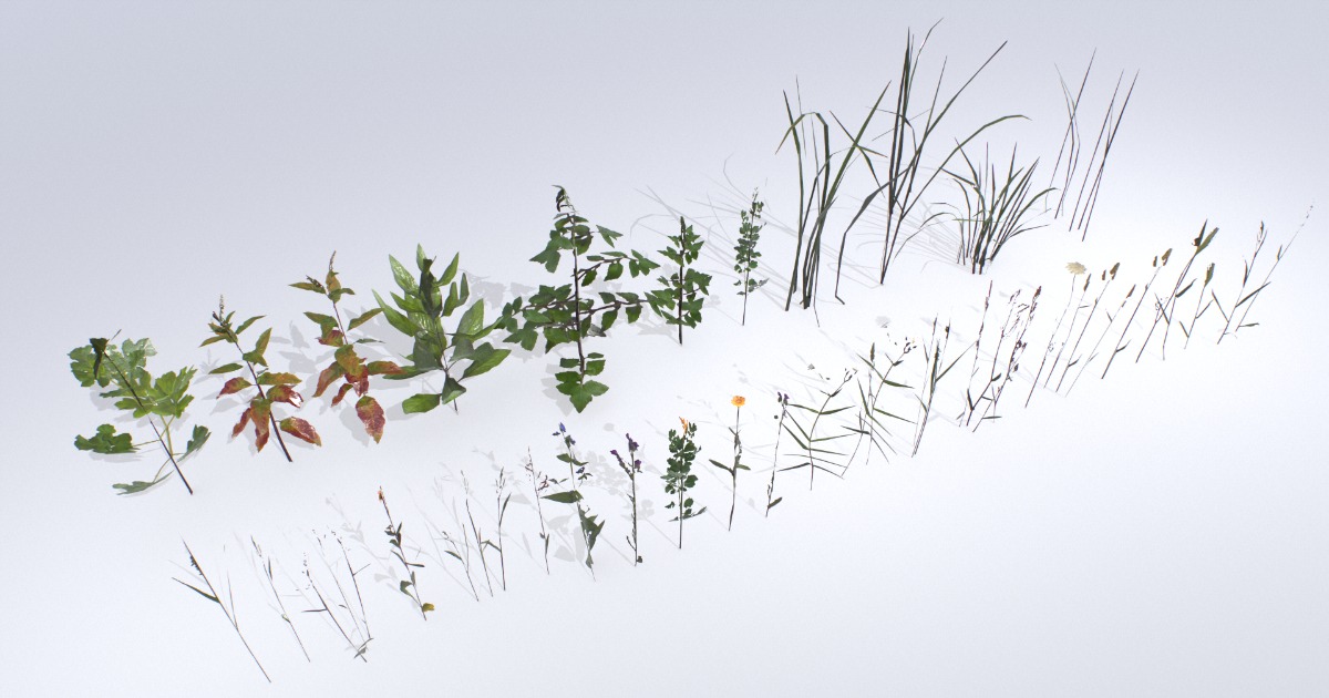 Pack of Plants | 3D Plants | Unity Asset Store