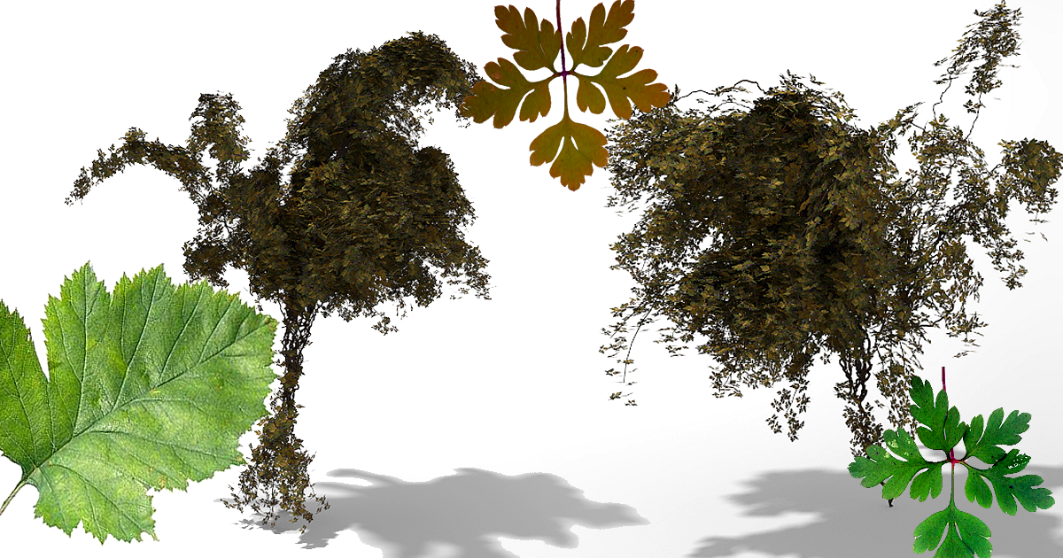 MEGA BUSH Volume 01 | 3D Vegetation | Unity Asset Store
