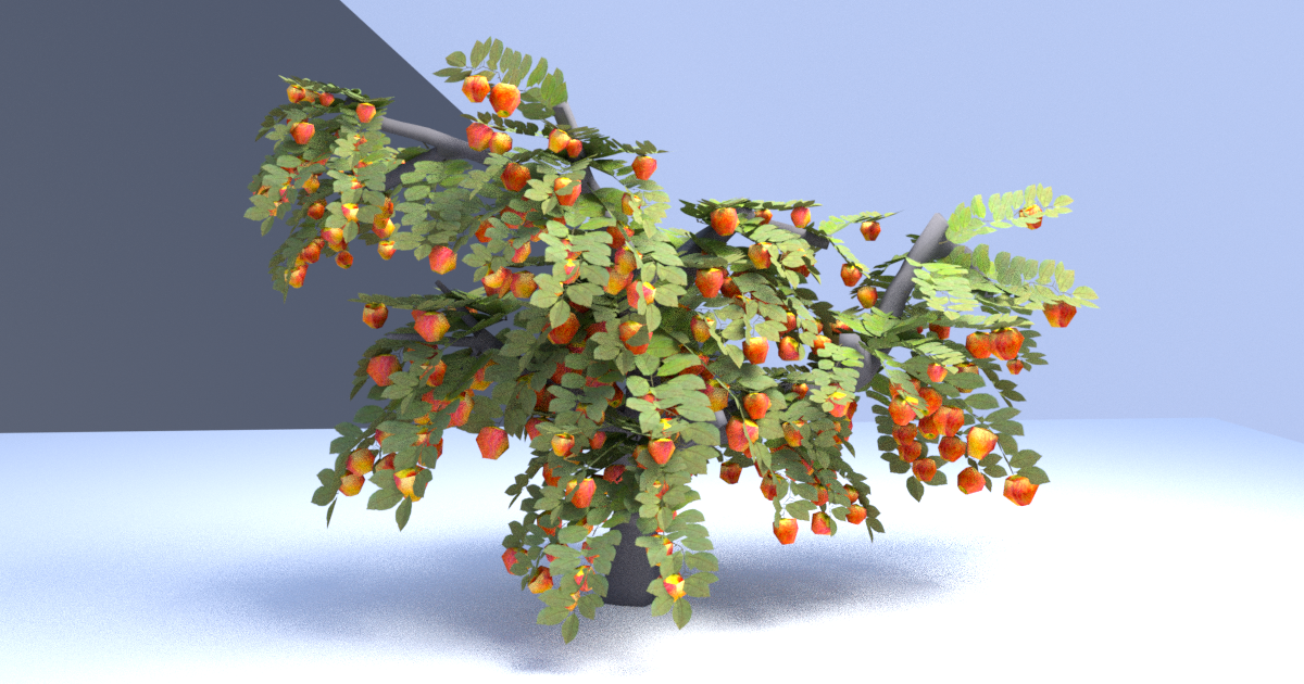 Red Apple Tree | 3D Trees | Unity Asset Store