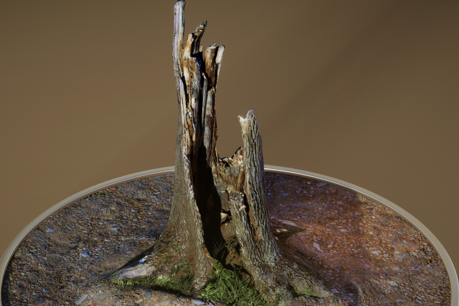 Cracked Tree Trunk 3d Trees Unity Asset Store