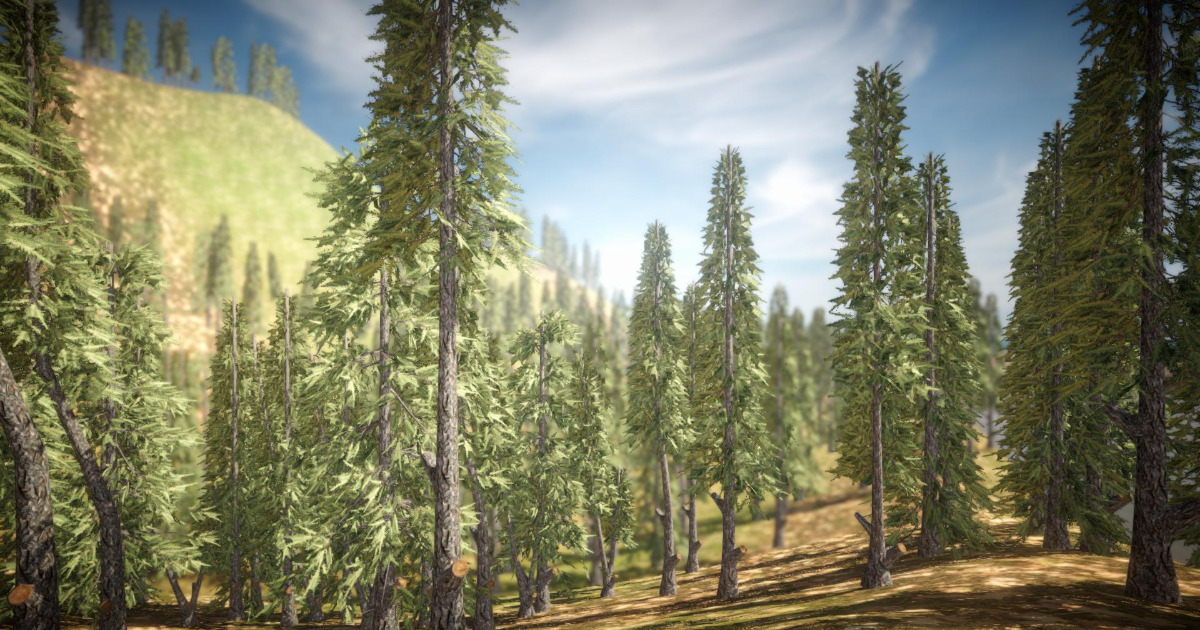 Mobile Pine Tree 2 | 3D Trees | Unity Asset Store