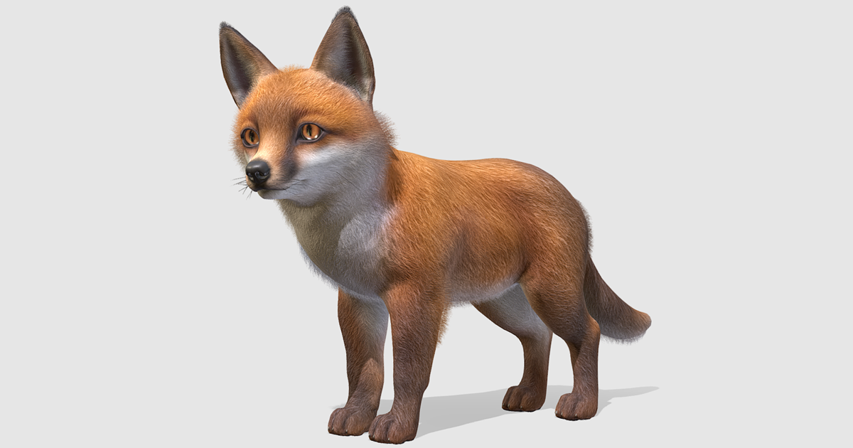 Fox - Cub | Characters | Unity Asset Store