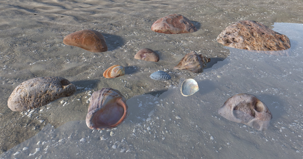 Beach Rocks and Shells | 3D Landscapes | Unity Asset Store