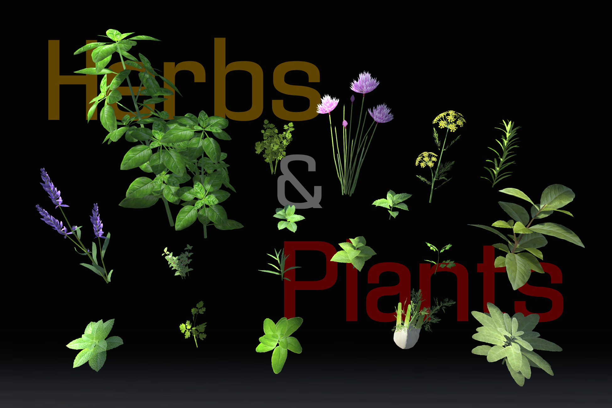 Herbs and Plants | 3D Vegetation | Unity Asset Store