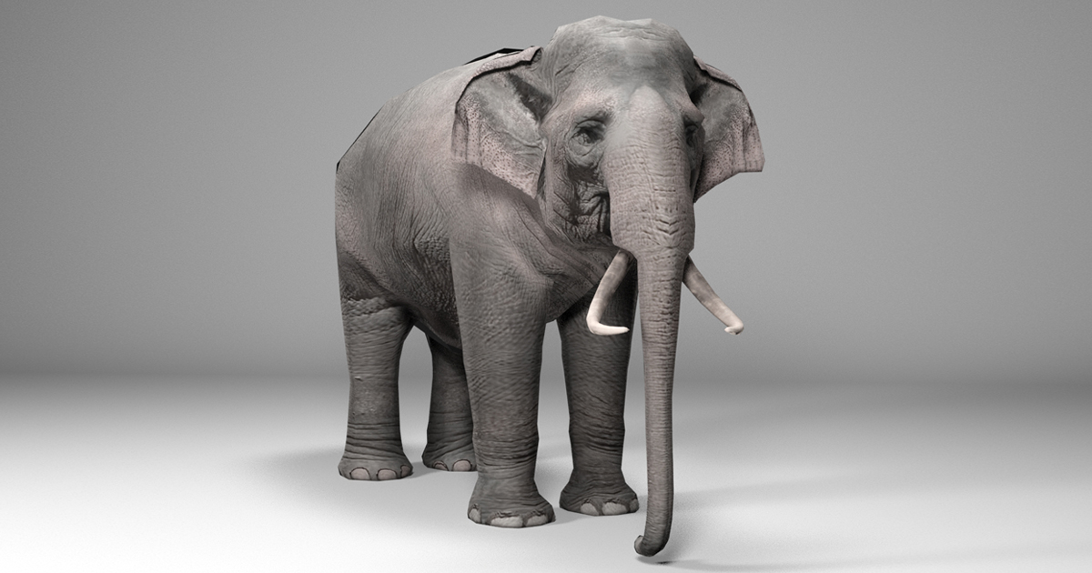 Asian Elephant Animated | Characters | Unity Asset Store
