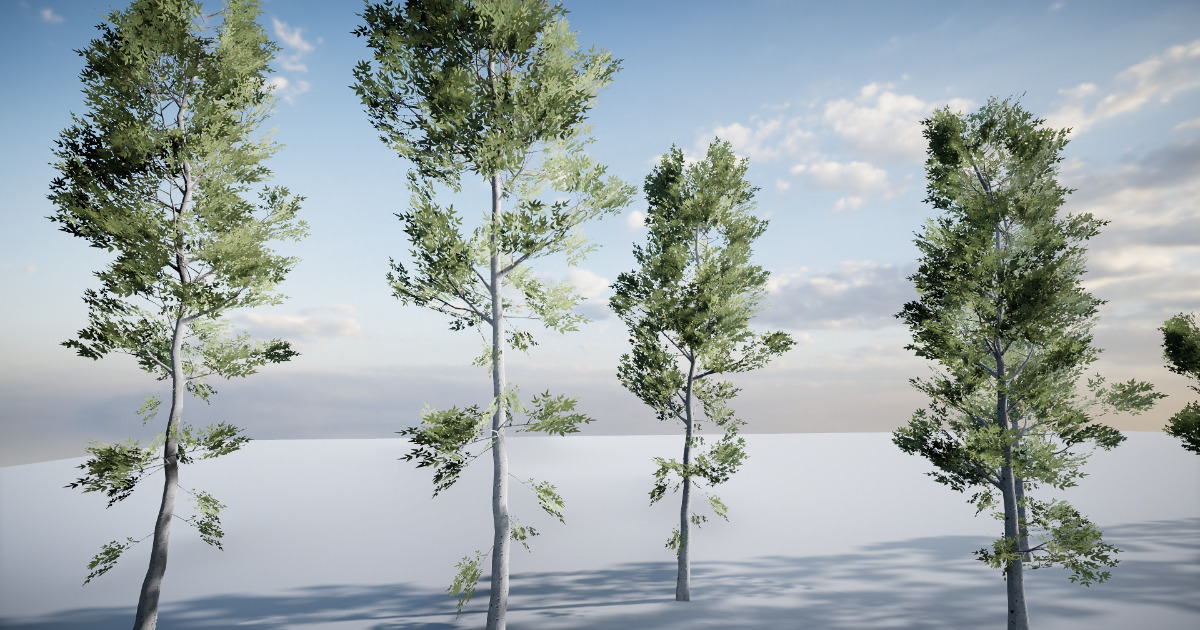 HDRP Tree Pack 8 | 3D 나무 | Unity Asset Store