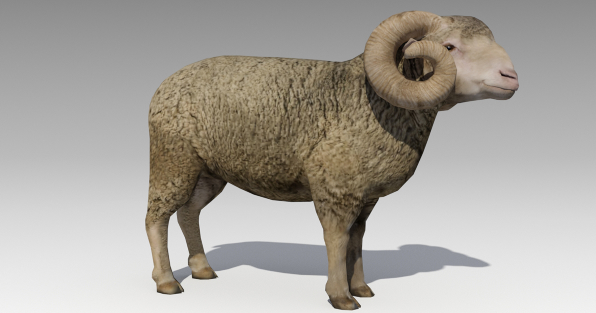 Ram Animated | 캐릭터 | Unity Asset Store