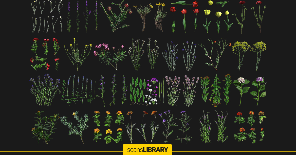 Flower Altas Scans | 2D Textures & Materials | Unity Asset Store