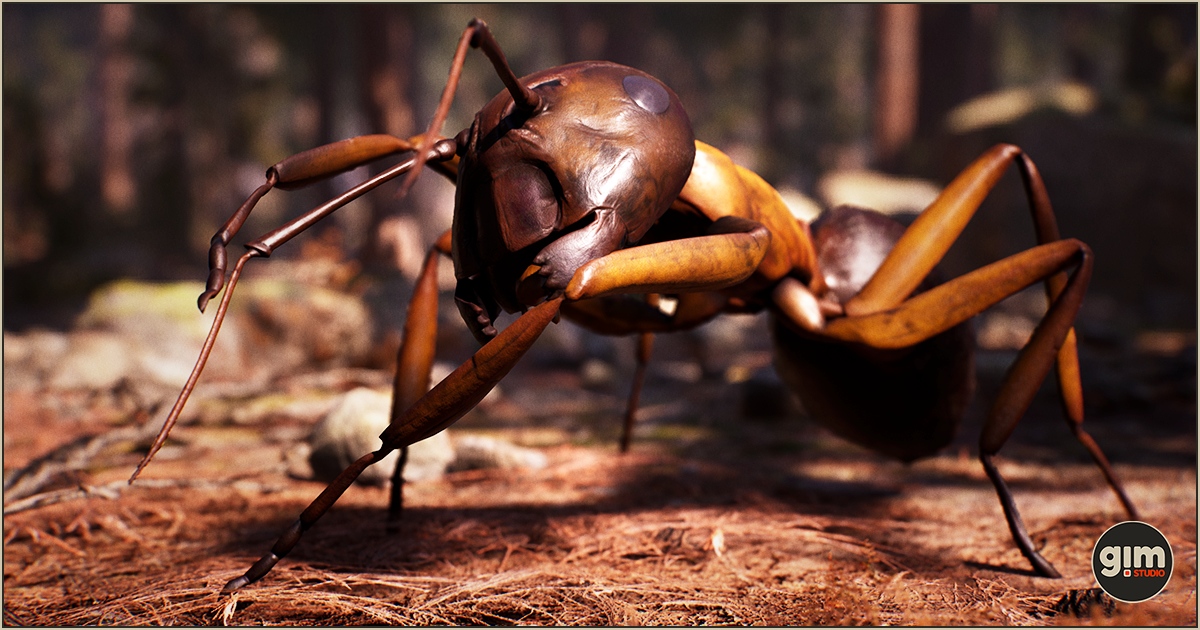 Animalia - Carpenter Ant | Characters | Unity Asset Store