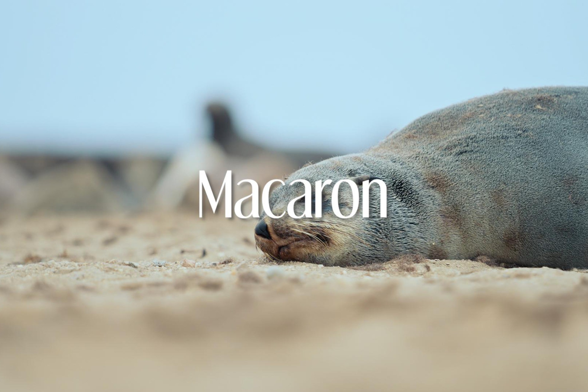 Macaron / Soundtrak | 음향 음악 | Unity Asset Store