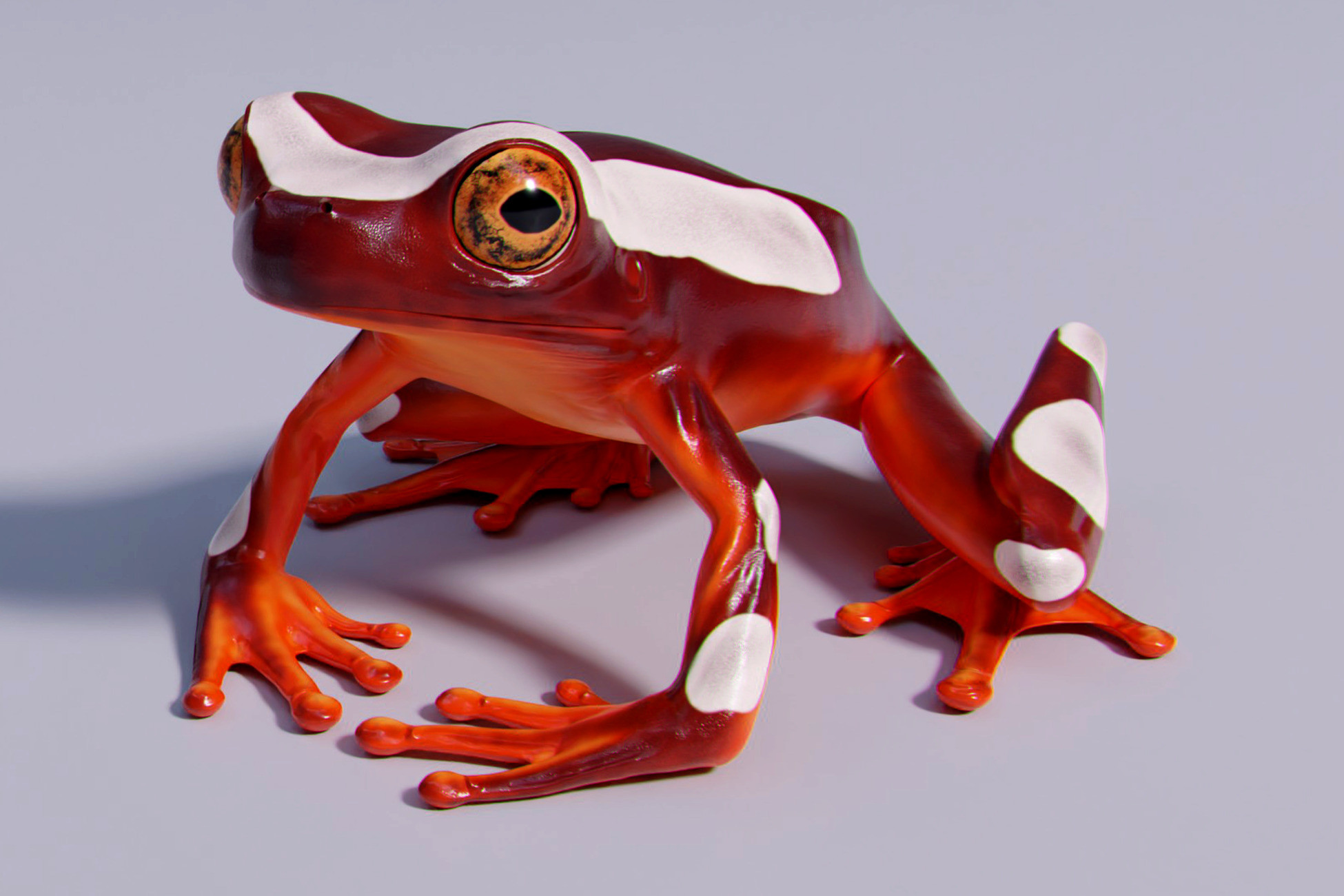 Clown Tree Frog | 3D Animals | Unity Asset Store