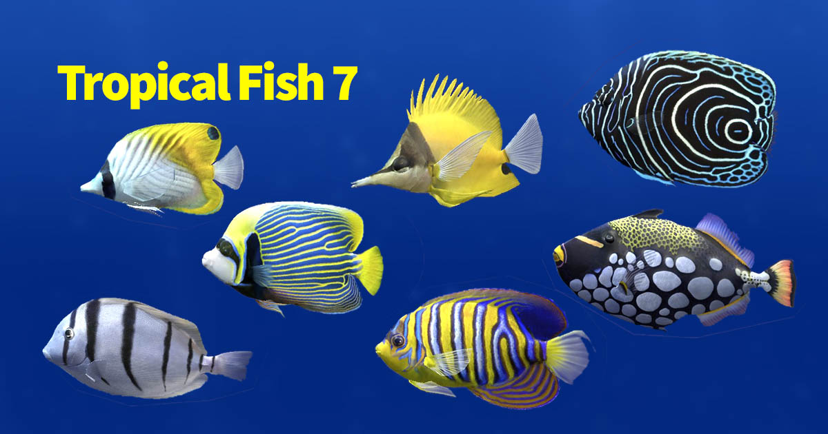 Tropical Fish 7 | Characters | Unity Asset Store