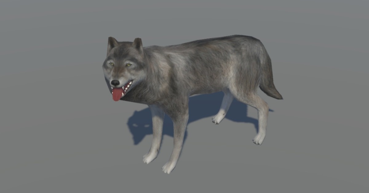 Wolf, animated 3d model | Characters | Unity Asset Store