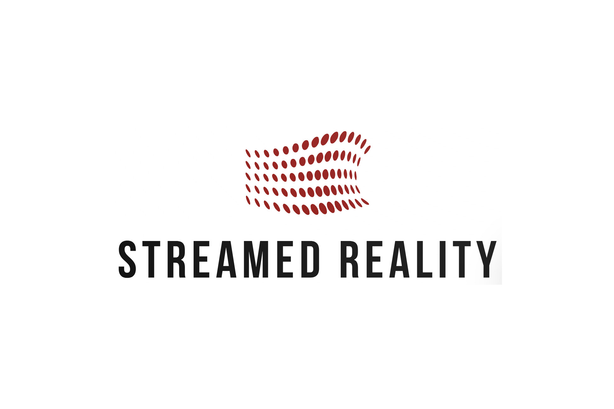 Streamed Reality Server SDK | Integration | Unity Asset Store