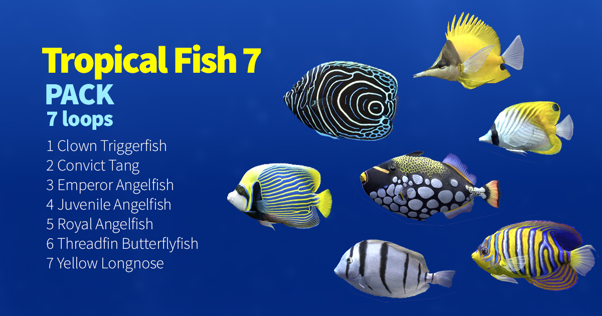 Tropical Fish 7 | Characters | Unity Asset Store