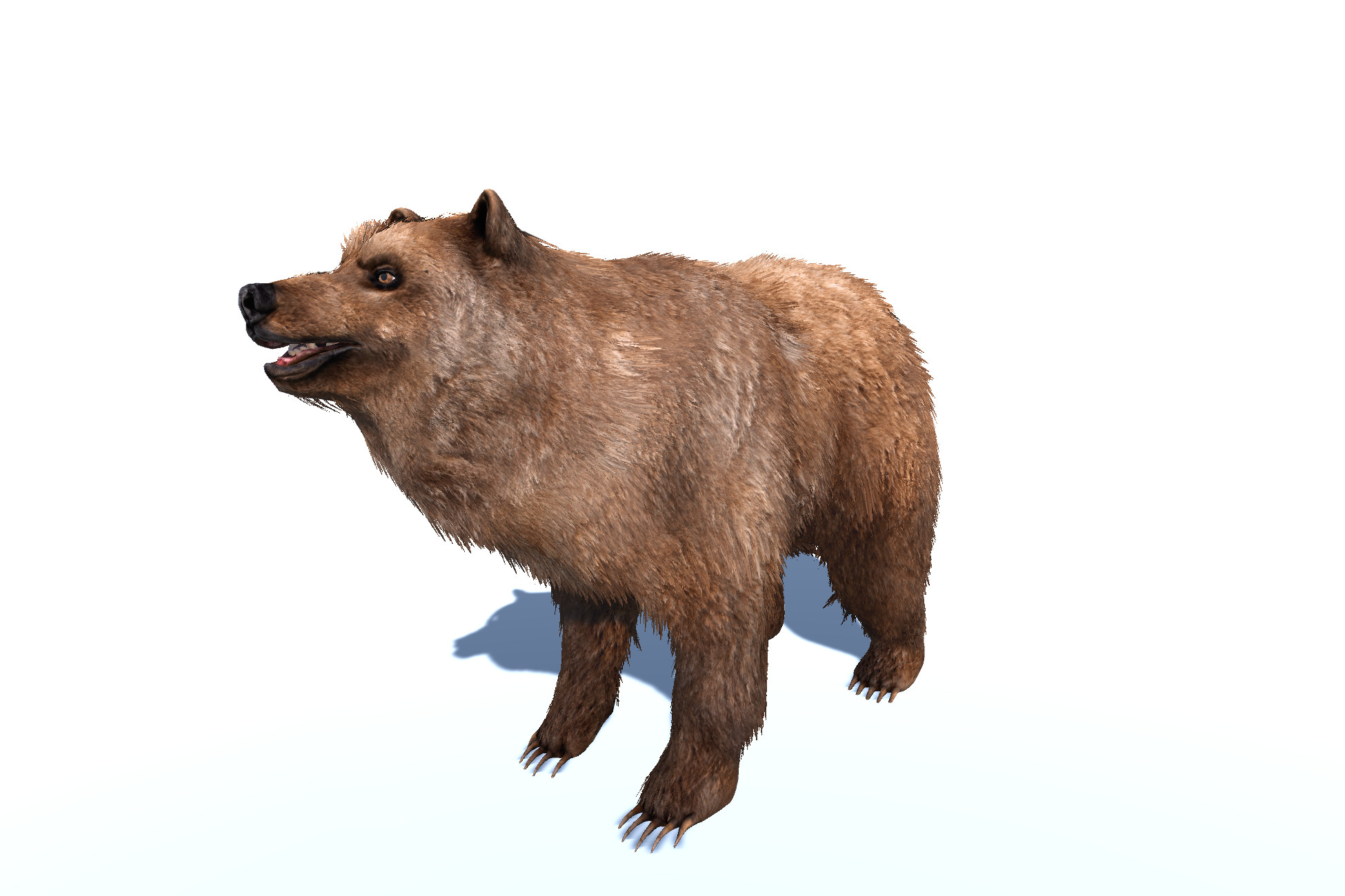 The Furry Bear | 3D Animals | Unity Asset Store