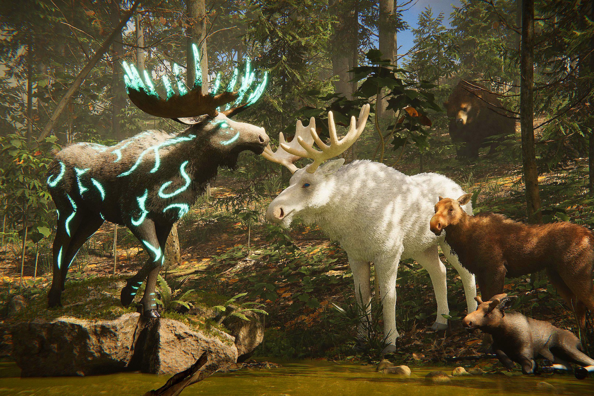 Realistic Moose | 3D Animals | Unity Asset Store