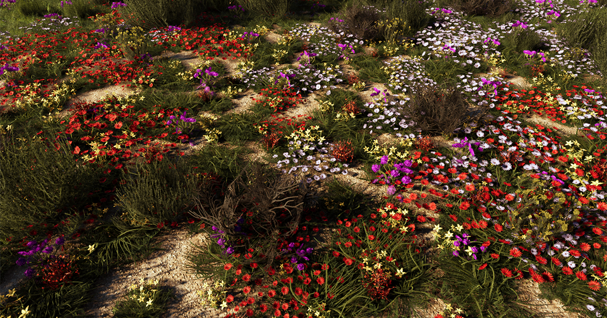 Fields of Color - Micro Biome | 3D Vegetation | Unity Asset Store