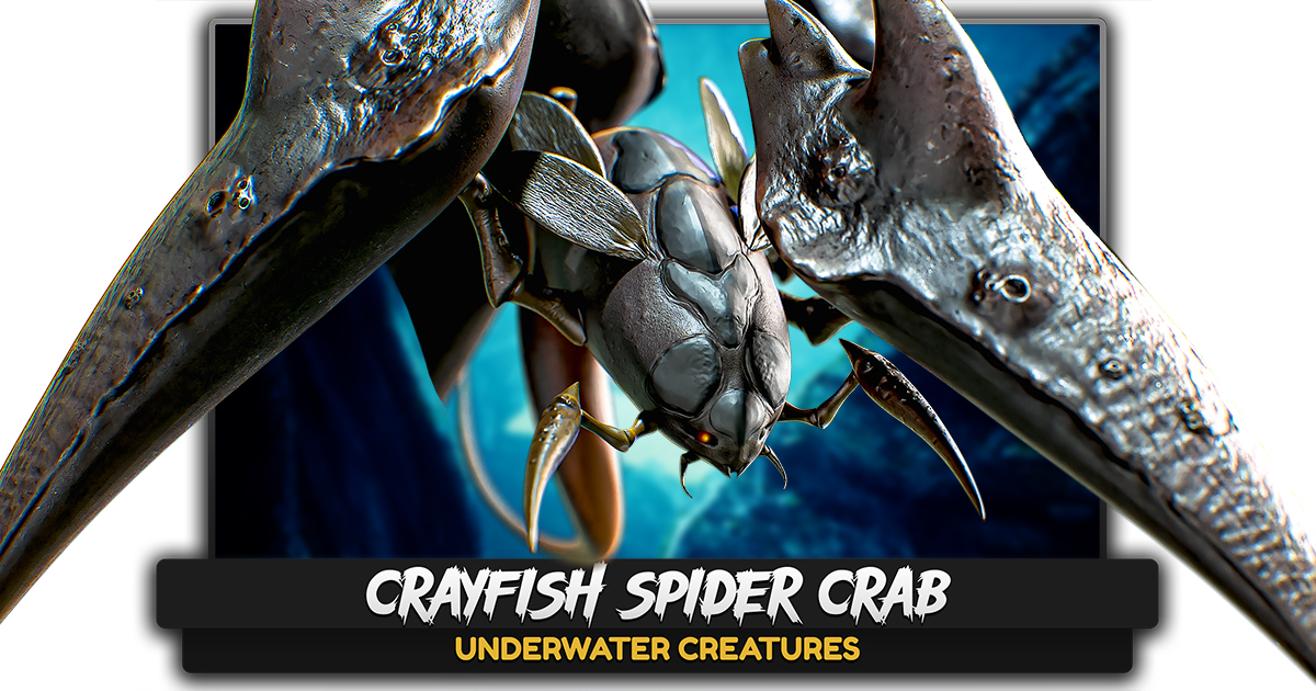 Crayfish Spider Crab | low poly fish | Ocean predator | Crustacea 3d ...