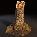 Broken Tree Stumps 01