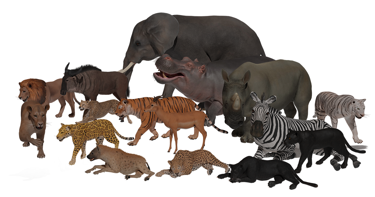 African Animal Pack | 캐릭터 | Unity Asset Store