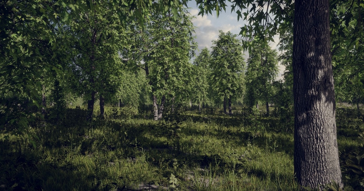 Sweetgum Tree | 3D Trees | Unity Asset Store