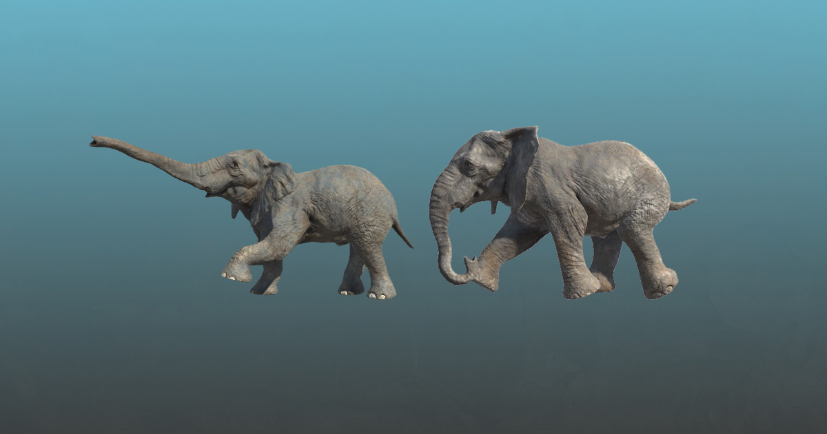 African Animal Female Elephant (Full Version) | 3D | Unity Asset Store