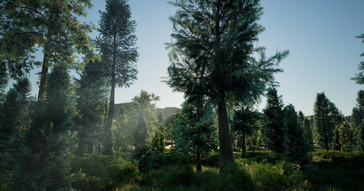 Realistic Spruce Forest | 3D Landscapes | Unity Asset Store