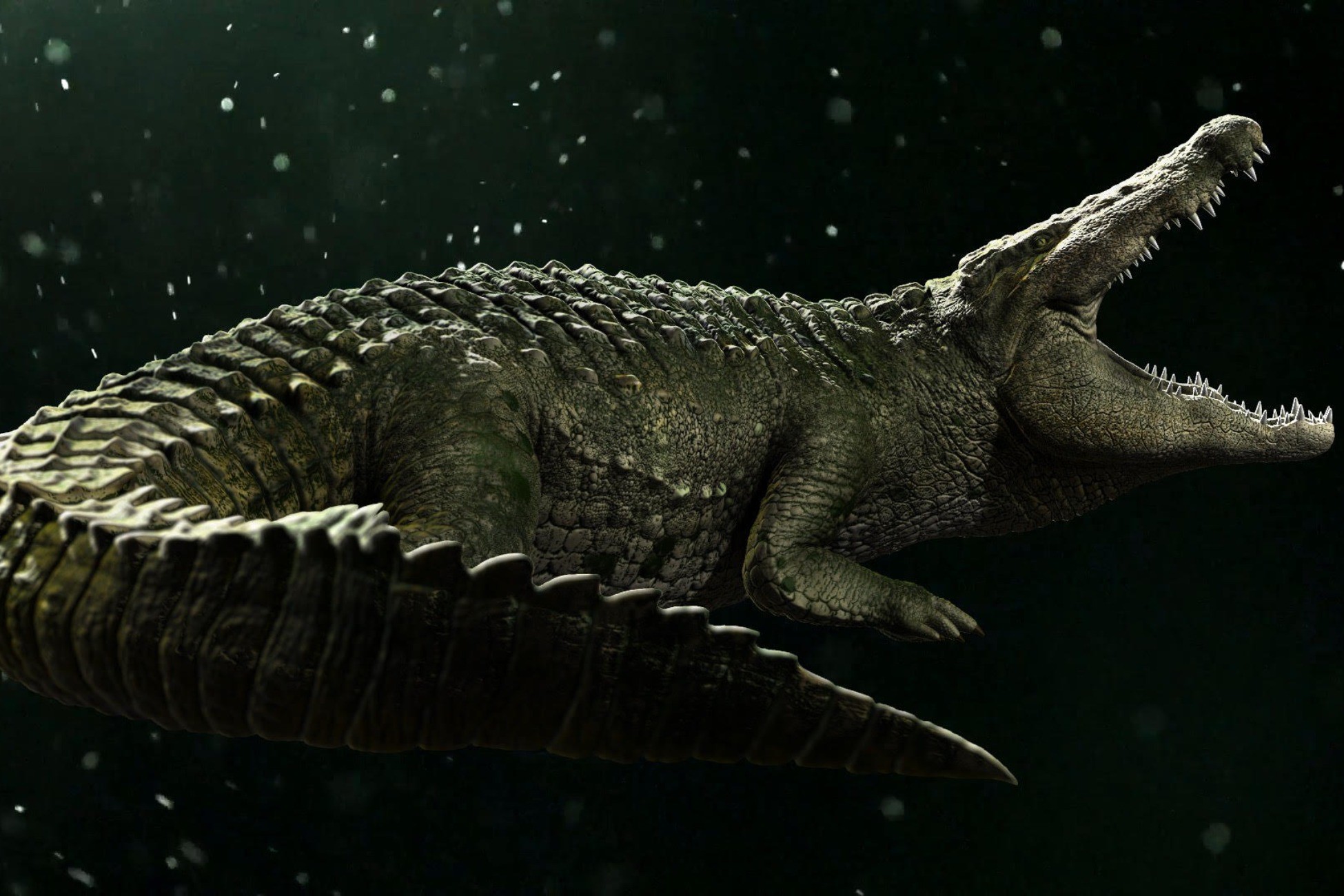 Crocodile Realistic | Characters | Unity Asset Store