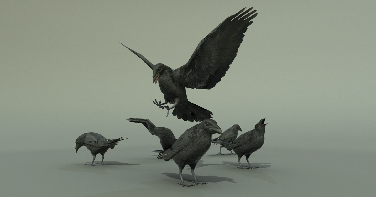 CROW | Characters | Unity Asset Store