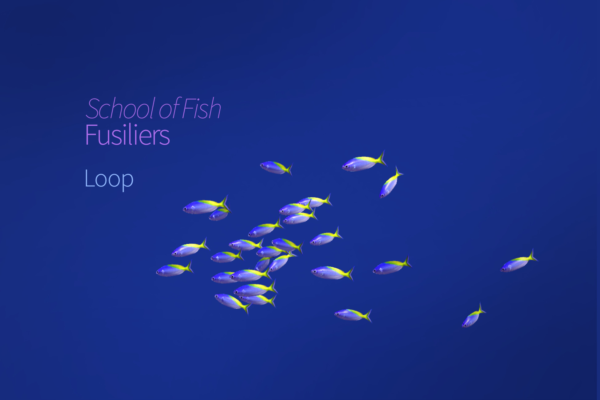 Fusiliers School Fish | Characters | Unity Asset Store