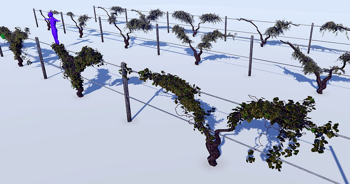 Gen03GrapeVineyard01 | 3D Vegetation | Unity Asset Store