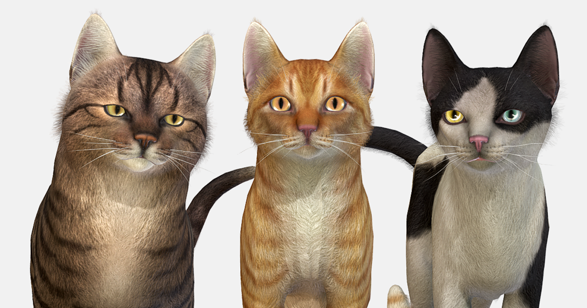Cats pack | Characters | Unity Asset Store