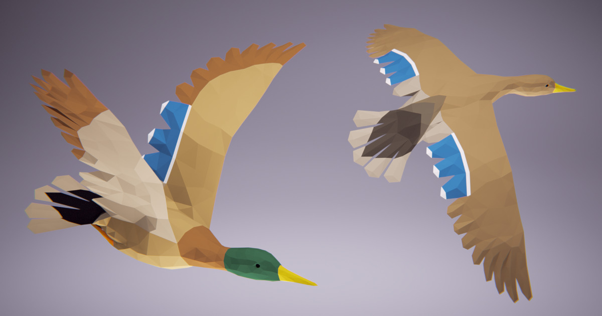 Low Poly Bird: Mallard Duck | Characters | Unity Asset Store