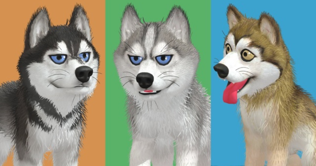 Cute Dog - Husky | Characters | Unity Asset Store