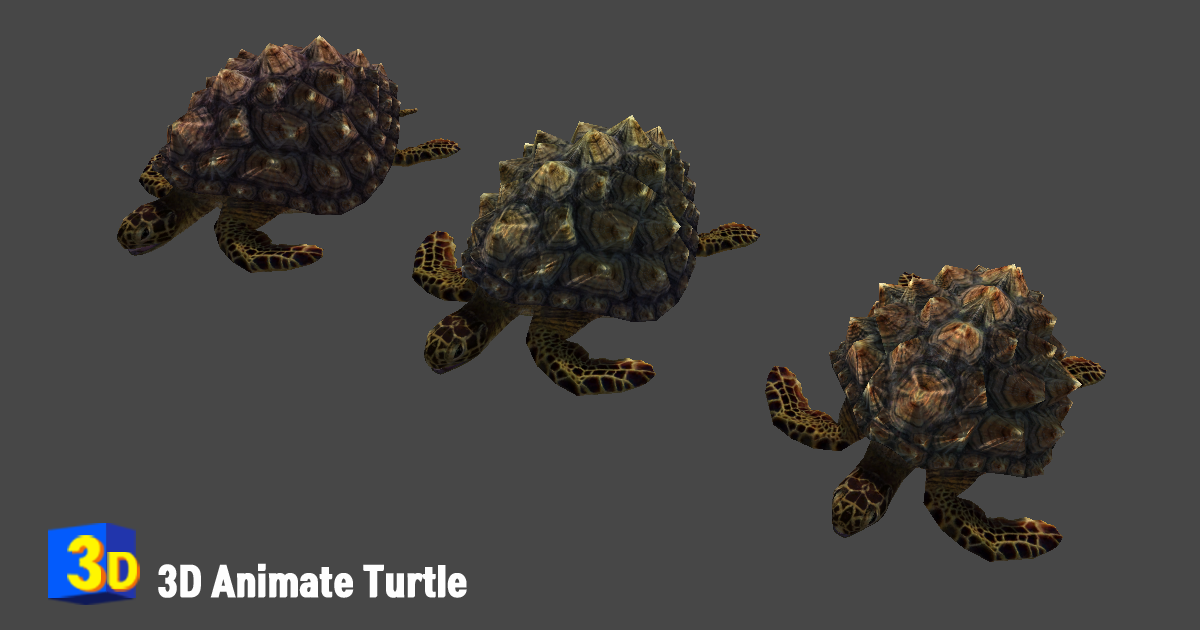 3D Turtle Pack | 3D Animals | Unity Asset Store