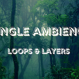 Jungle Ambience Pack – Loops and Layers