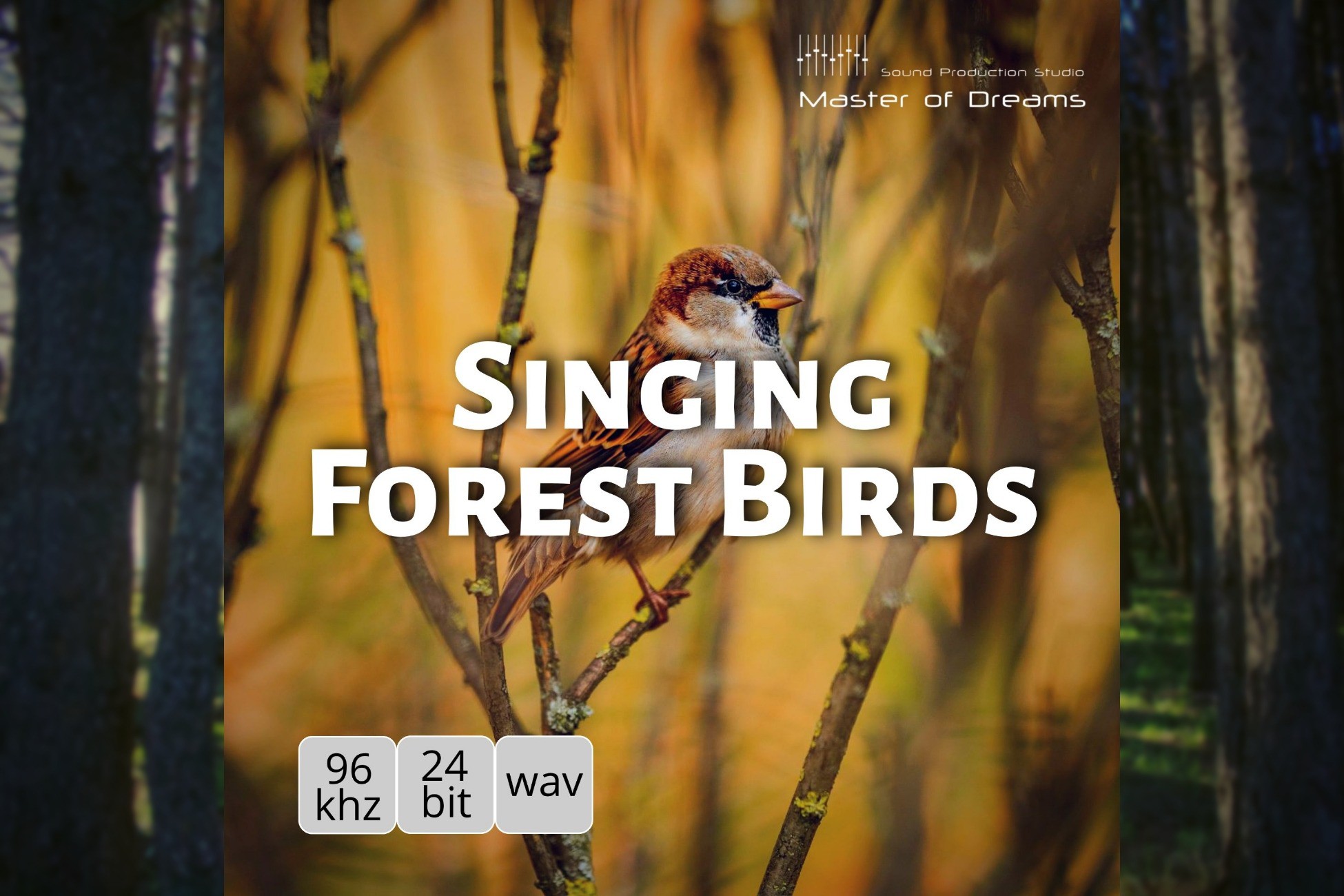 Singing Forest Birds | Nature Ambient | Unity Asset Store