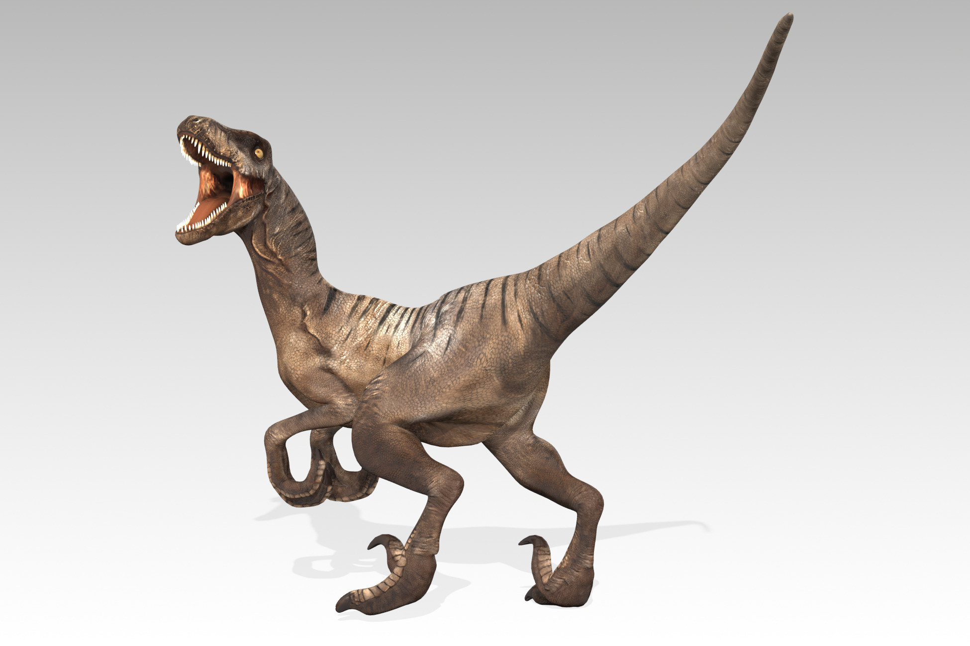 Velociraptor (Animated) | Characters | Unity Asset Store