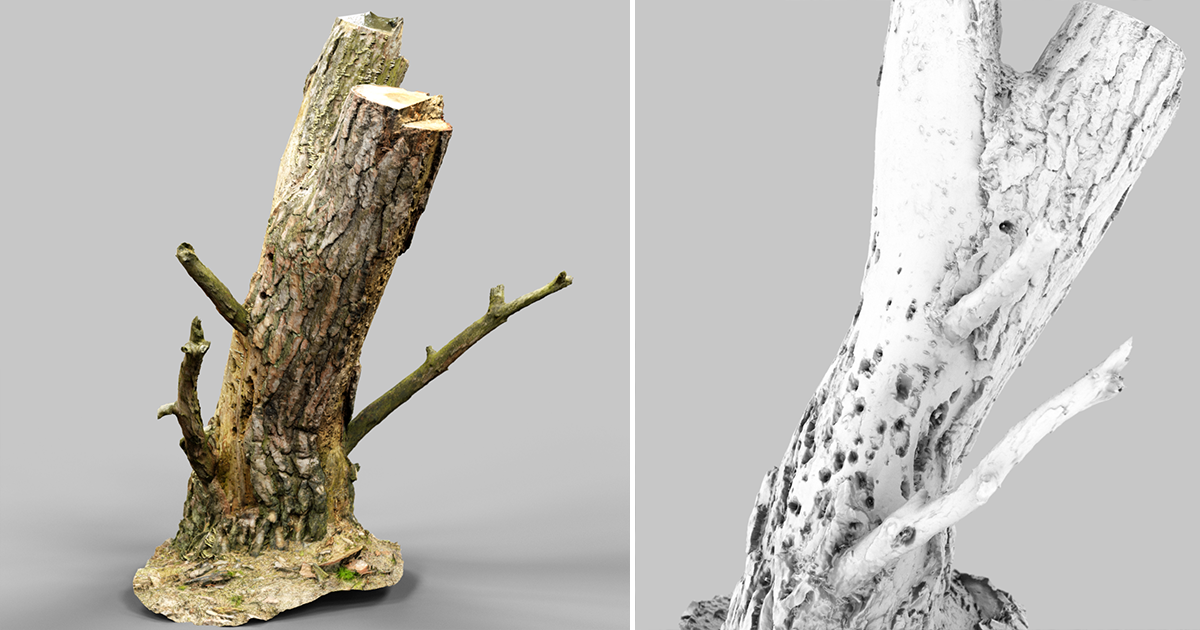 Stumpy the Tree Stump | 3D Trees | Unity Asset Store
