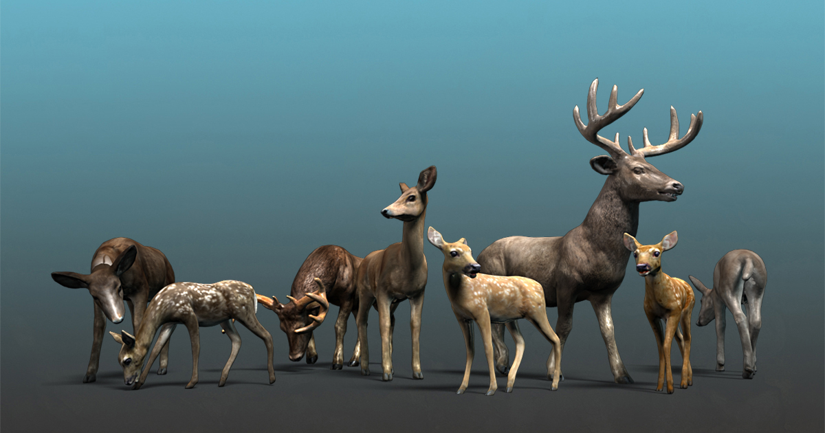 Forest Animal - Deer Family Bundle | Characters | Unity Asset Store