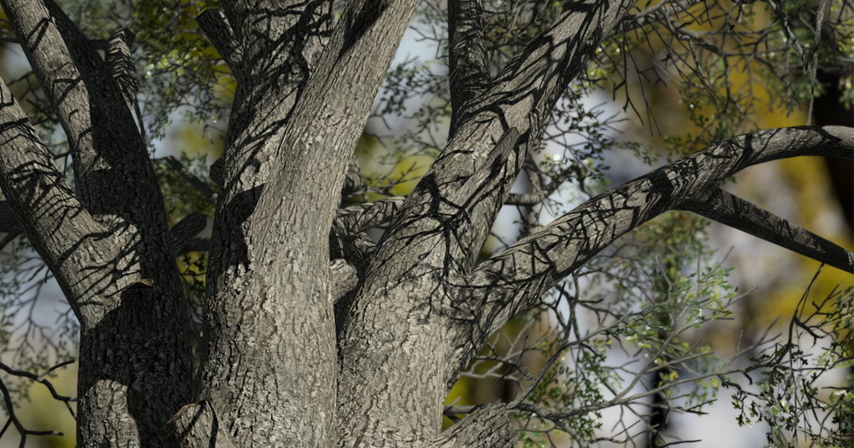 Temperate Deciduous Forest Pack (v8) | 3D SpeedTree | Unity Asset Store
