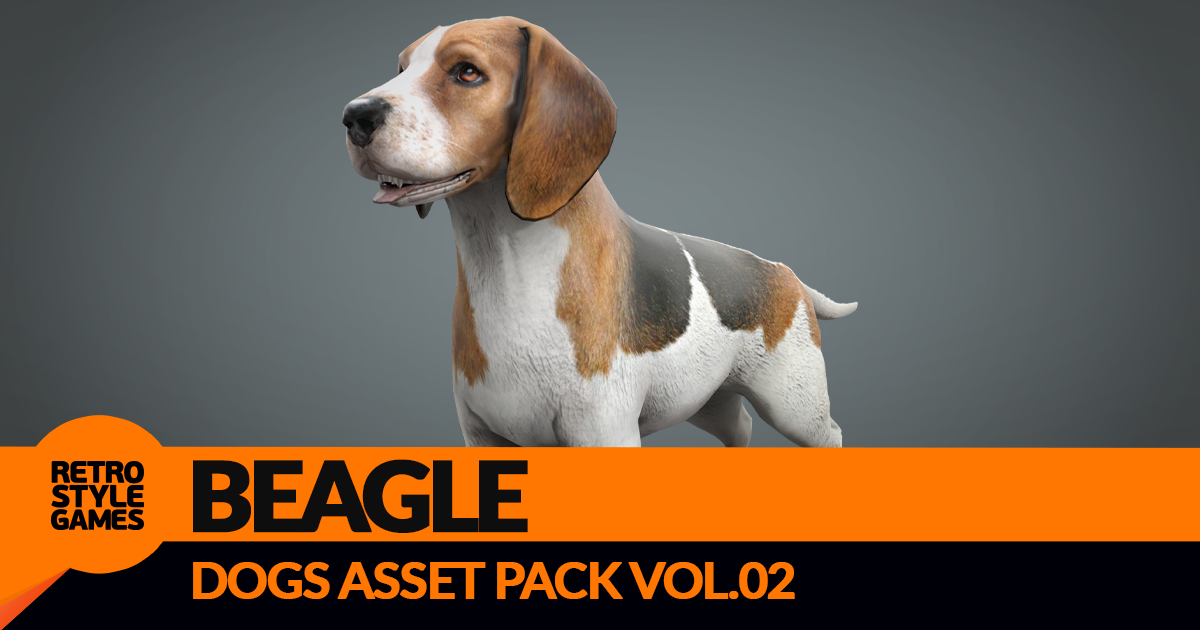 Beagle 3D Model | 3D Animals | Unity Asset Store